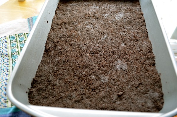 Oreo Turtle Bars | Mikey's In My Kitchen